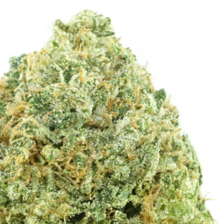 Gorilla Glue #4 - Vancouver Weed Delivery