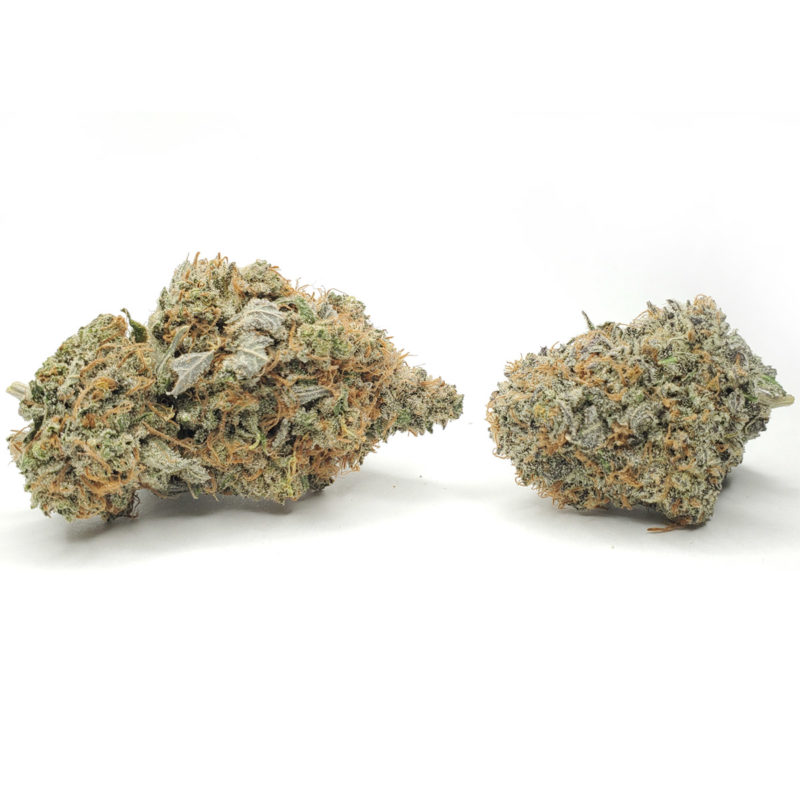 Sugar Cookie - Weed Delivery